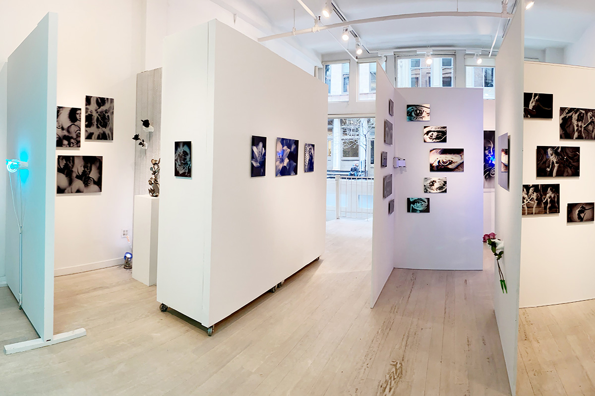 INDIRA CESARINE “THE LABYRINTH” EXHIBIT AND INSTALLATION | Indira Cesarine